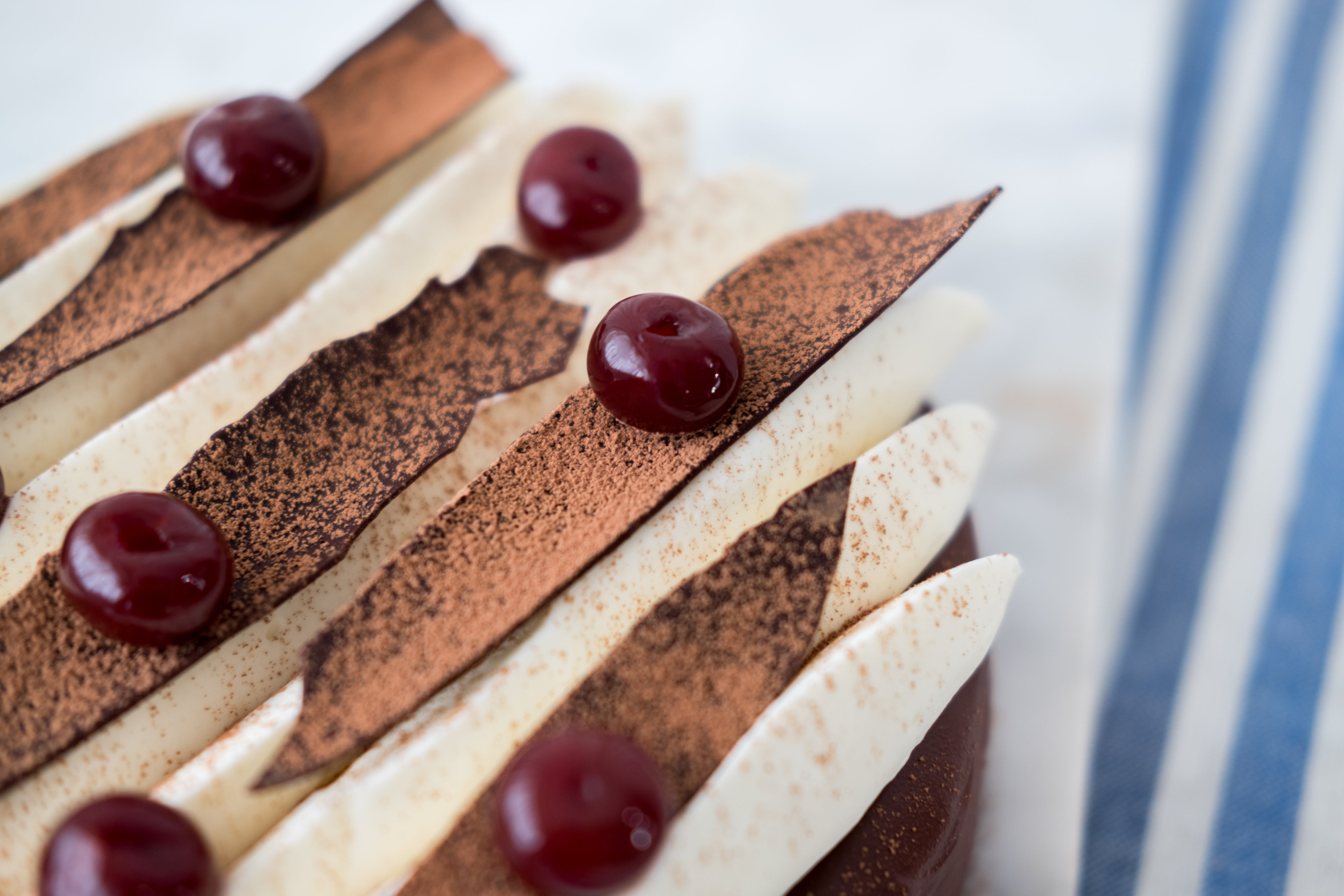 CAKE – Dedicated Chocolate